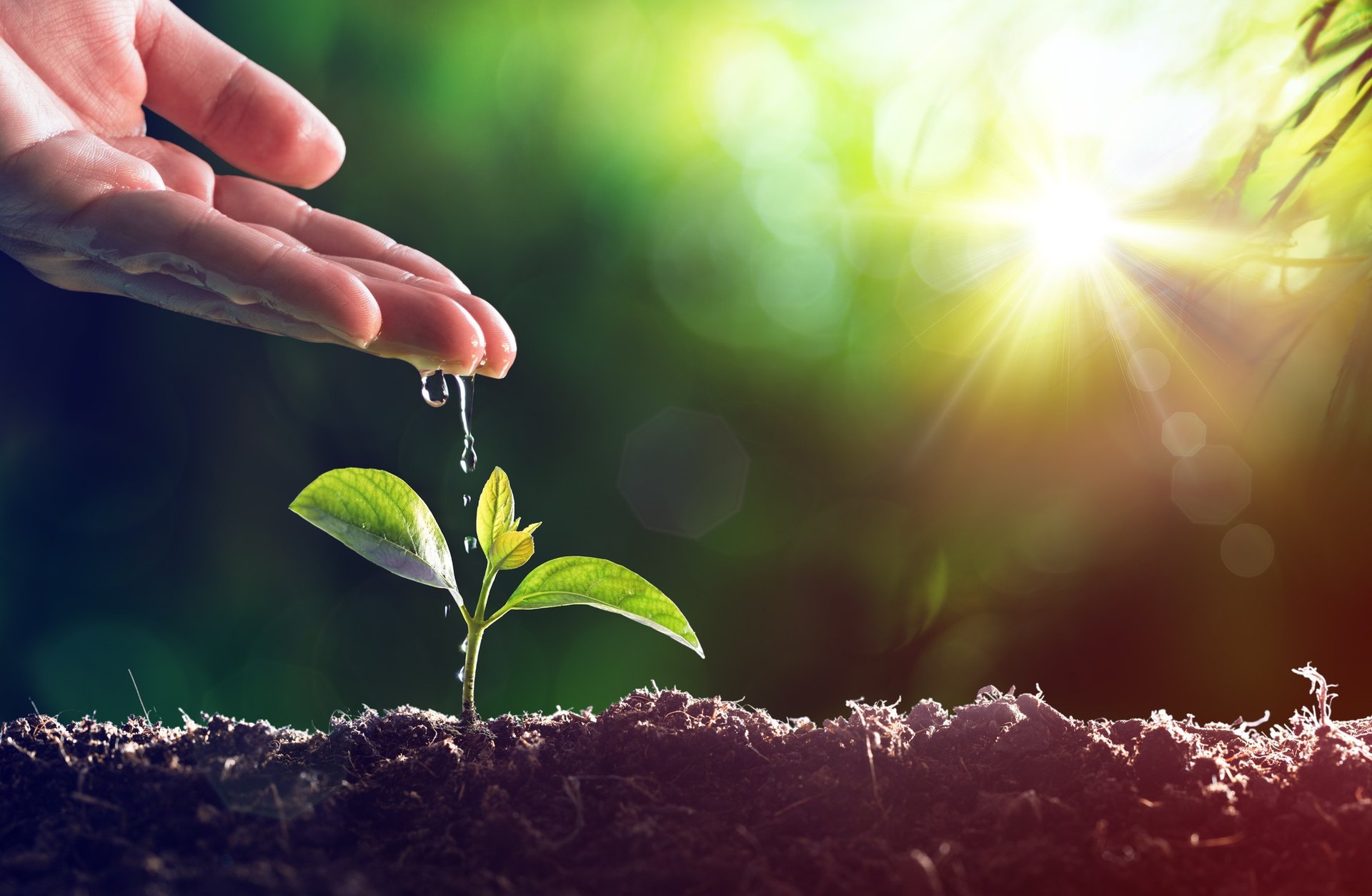 Three Ways to Enable Managers for Success